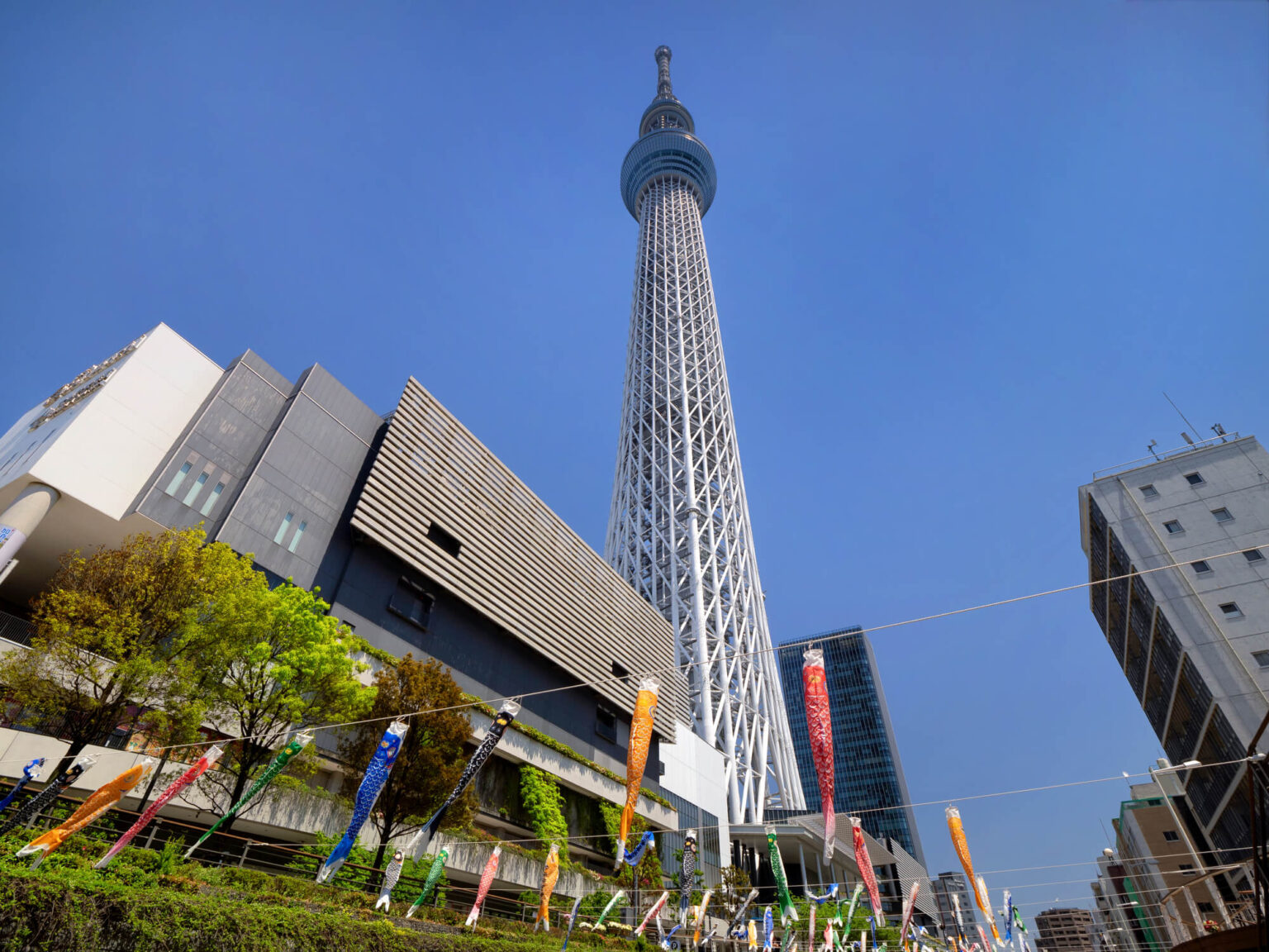 First Time in Tokyo (2025): Stress-Free First Timers Guide