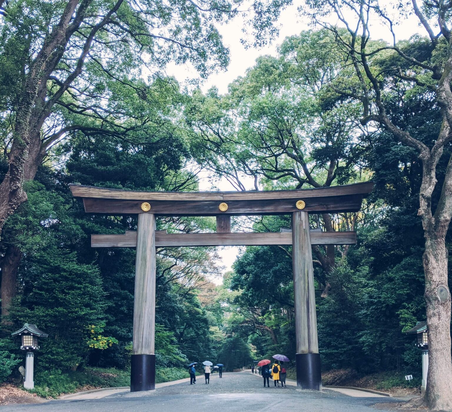 First Time in Tokyo (2025): Stress-Free First Timers Guide