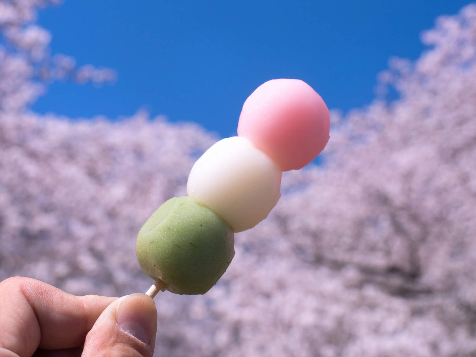 What is a Hanami Party? - ExploreJapanNow.com