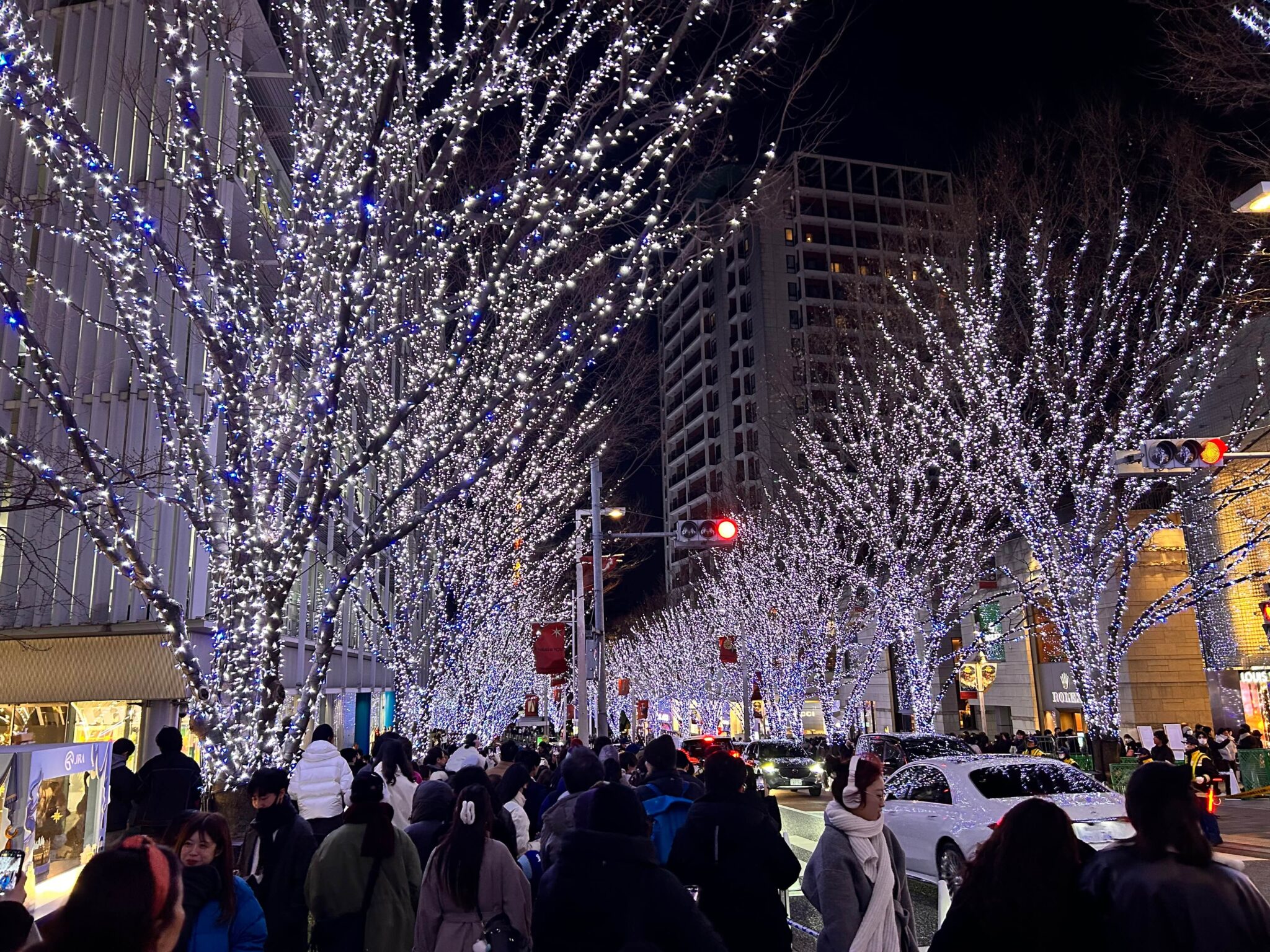 Visiting Tokyo in Winter - Your Perfect 2025/2026 Guide