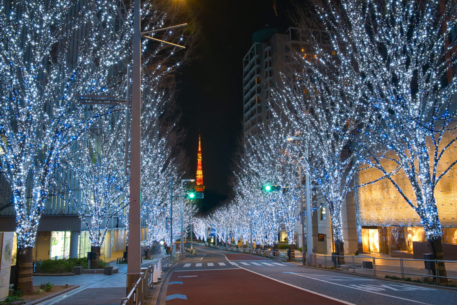 Visiting Tokyo in Winter - Your Perfect 2025/2026 Guide