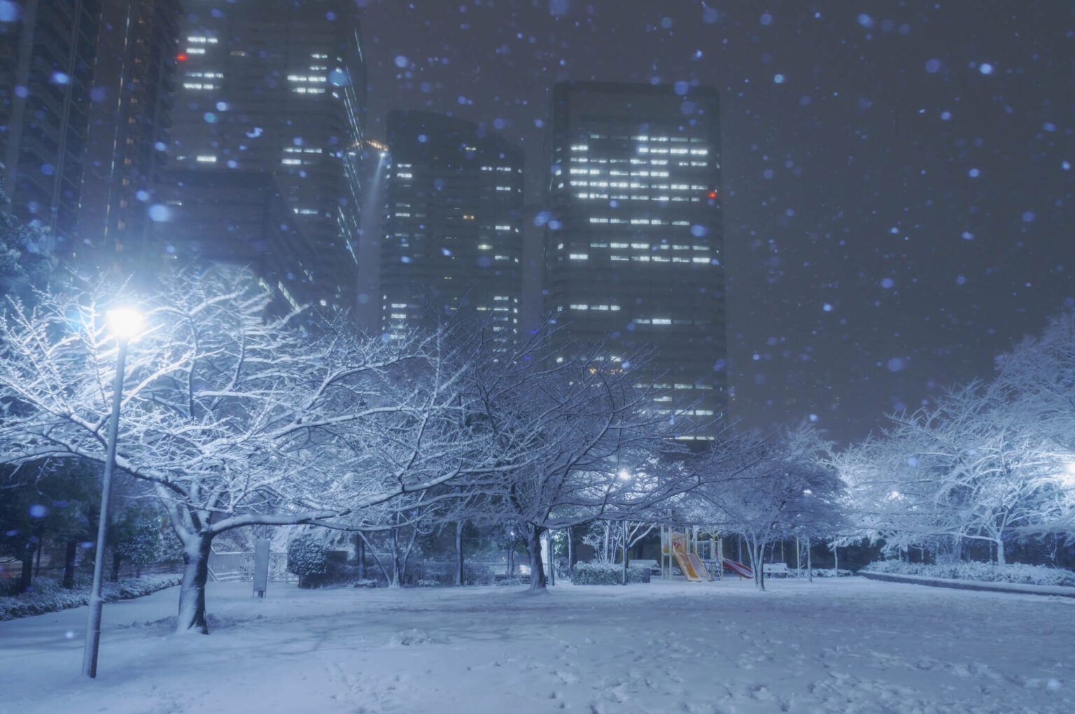 Visiting Tokyo in Winter - Your Perfect 2025/2026 Guide