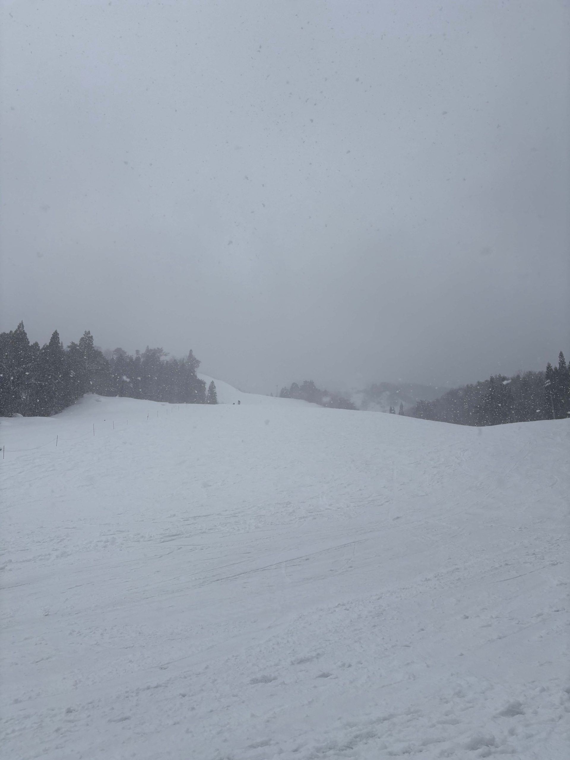 Hakuba Winter Guide 2025/2026: Family-Friendly Snow & Skiing